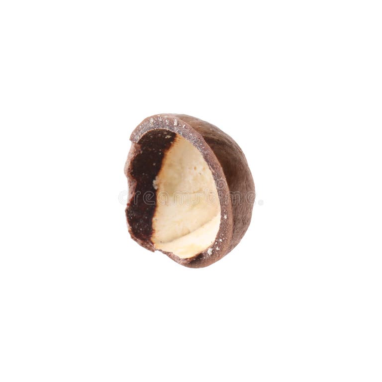 Part of Macadamia Nut Shell Isolated on White Stock Photo - Image of ...