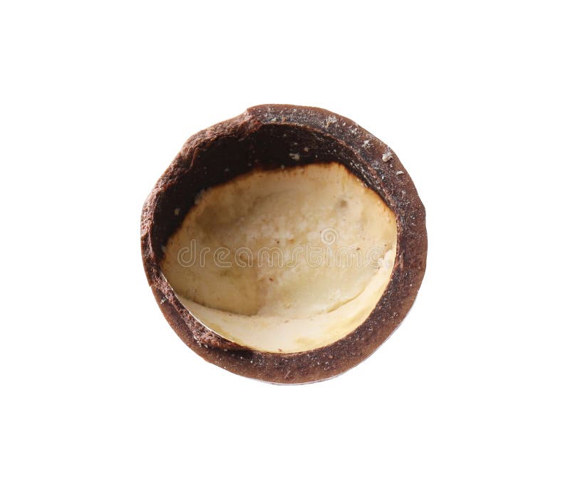 Part of Macadamia Nut Shell Isolated on White Stock Image - Image of ...