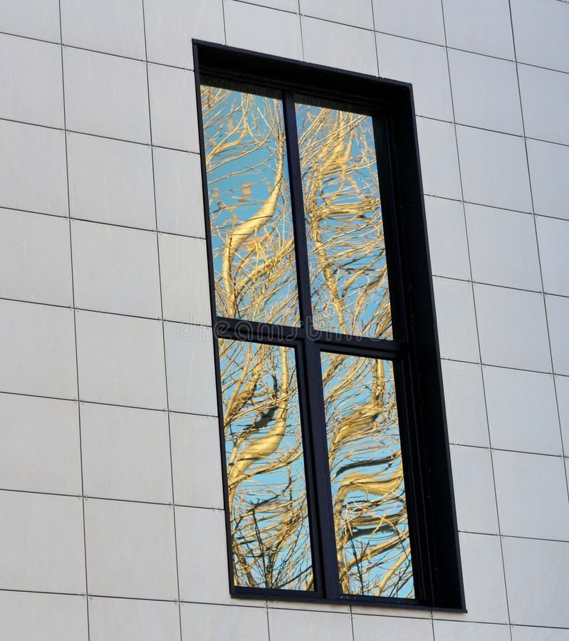 Part of a Modern Building with a Window and Trees Reflected in it Stock ...