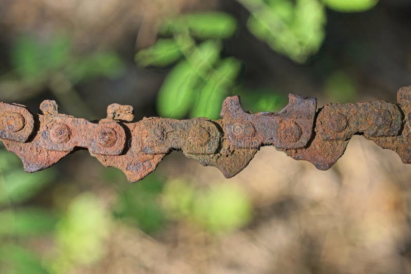 Part of an Old Rusty Brown Iron Chain for a Chainsaw Stock Image ...