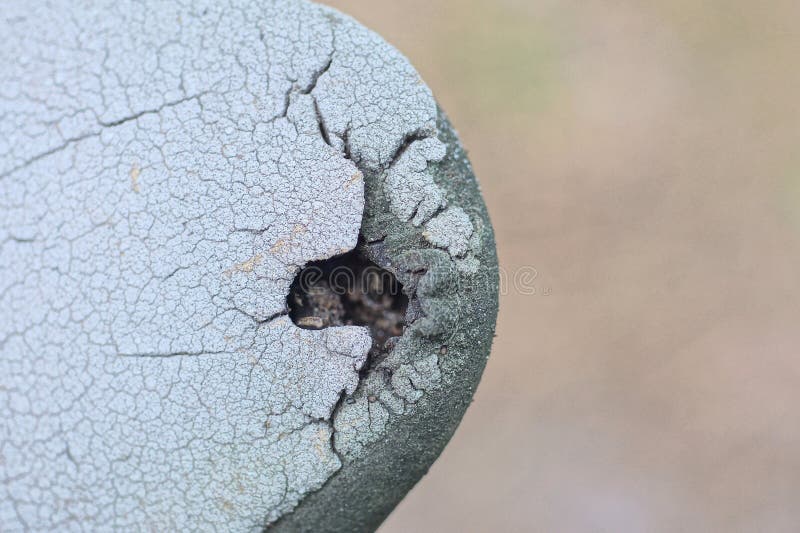 One Old Grey Boot with a Hole in the Sole Stock Photo - Image of design ...