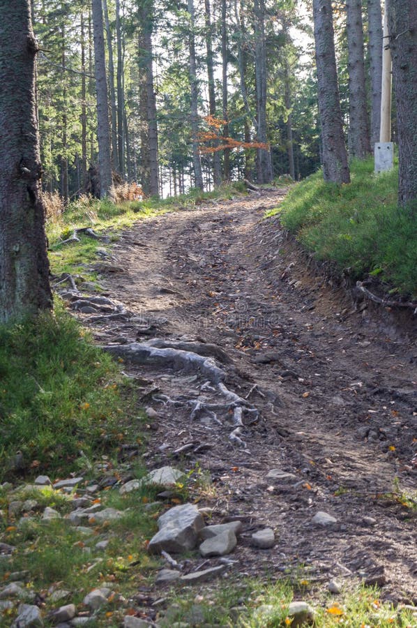 Part of the path stock photo. Image of nice, babia, hiking - 253742082