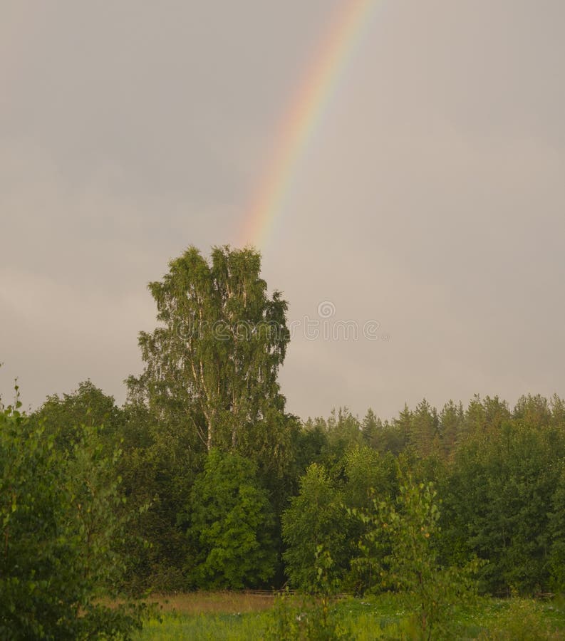 A Part of a Rainbow after the Rain Over the Green Trees and Forest in a ...