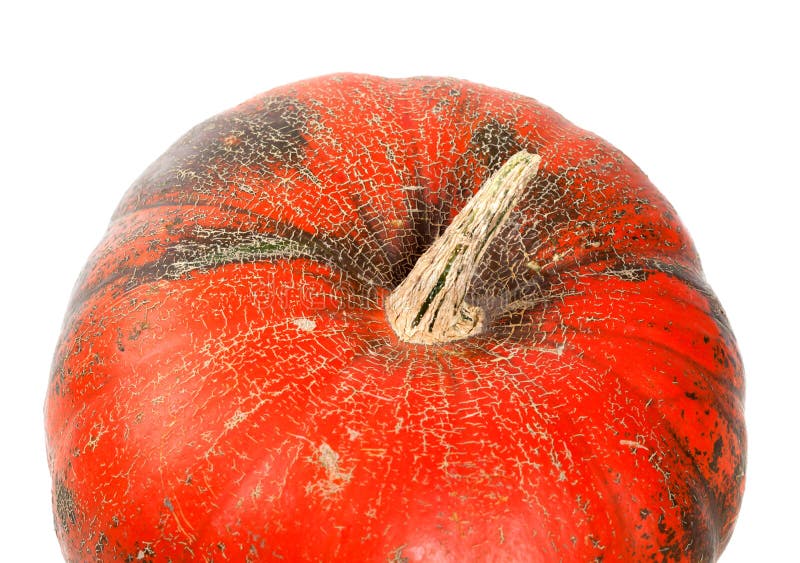 Part of Ripe Pumpkin on White Stock Photo - Image of fresh, meal: 75548258