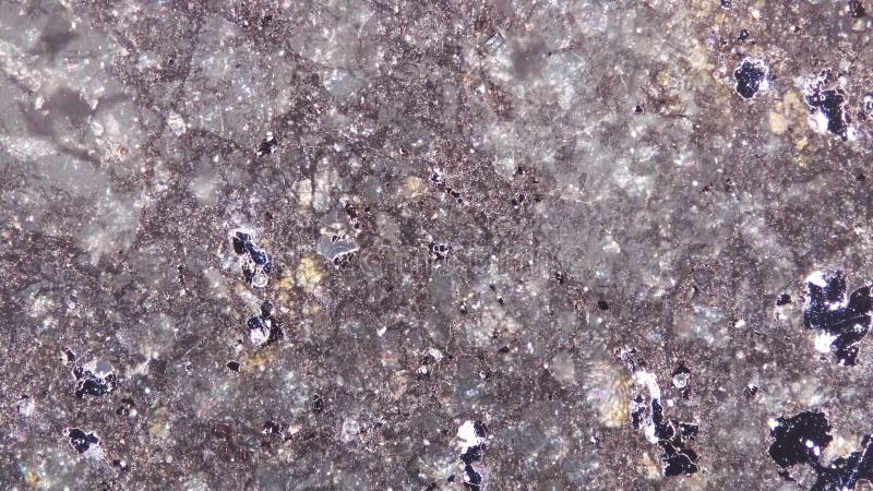 Part of a Space Meteorite Under a Microscope Closeup Stock Image ...