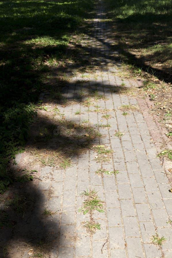 Part of a Stylized Old Concrete Path Stock Photo - Image of summer ...
