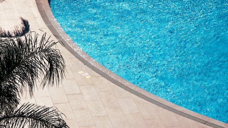 Part of the Swimming Pool is in a Luxurious Landscape with Palm Trees ...