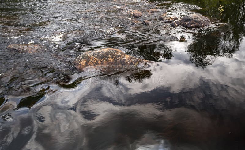 Part of the Threshold of the River. Stock Photo - Image of water ...