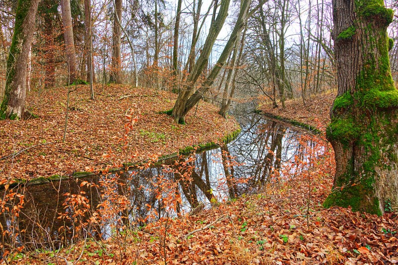 Part View of a Brook in a Public Park or Forest with Foliage, Trees and ...