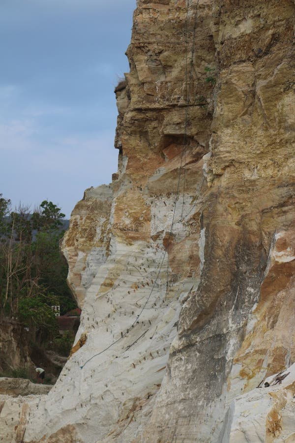 Part View of a Unique Mystic Light Brown White Profile from a Face of a ...