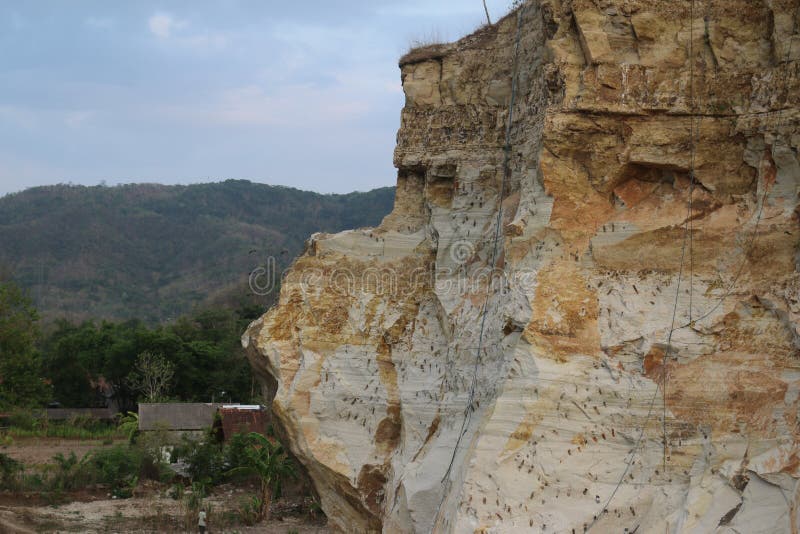 Part View of a Unique Mystic Light Brown White Profile from a Face of a Monkey in a Stone Rock ...