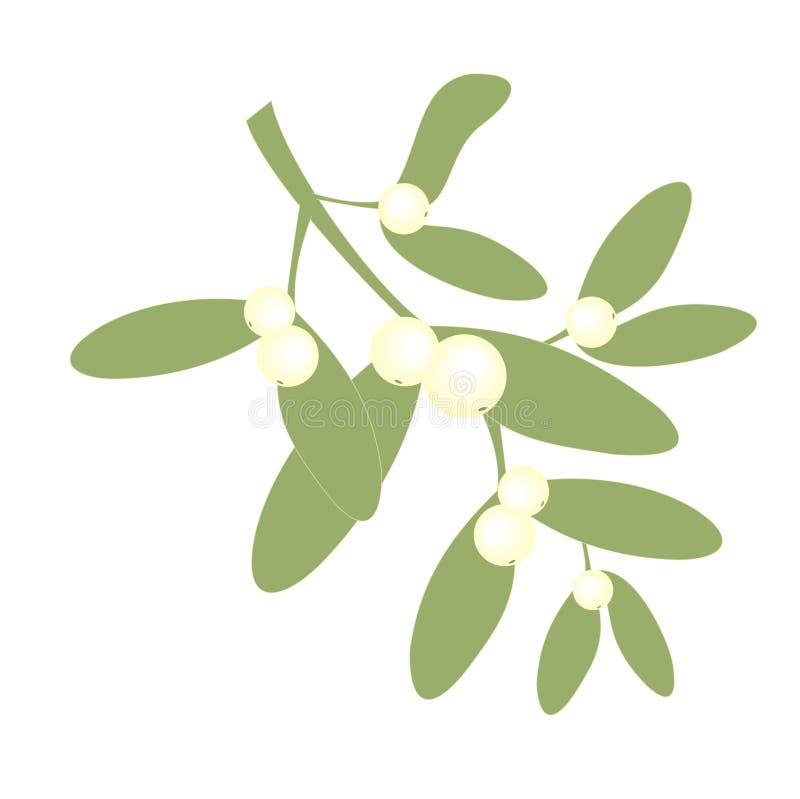 Vischio illustrazione vettoriale. Illustrazione di zampe - 917809