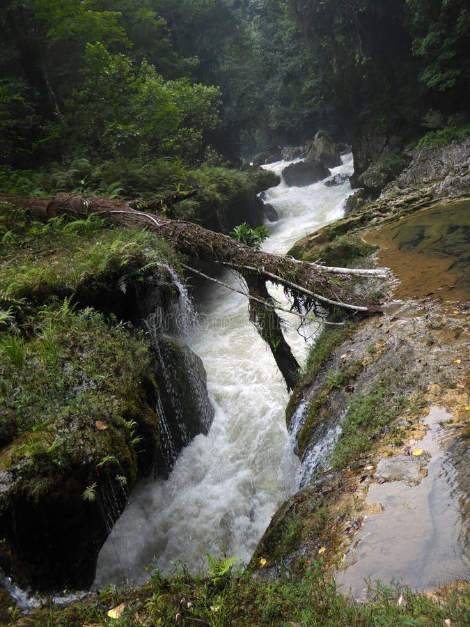 El Río De Cahabon, Forma Las Cascadas Numerosas, Champey De Semuc ...