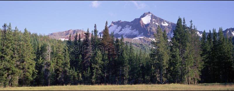 Broken Top a Partir Do Prado Do Parque Foto de Stock - Imagem de ...