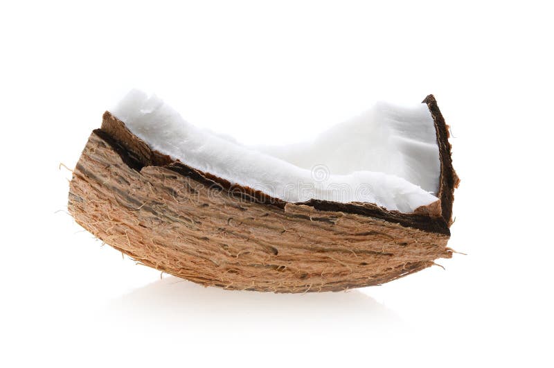 Partes Do Coco Isoladas Em Um Fundo Branco Imagem de Stock - Imagem de ...