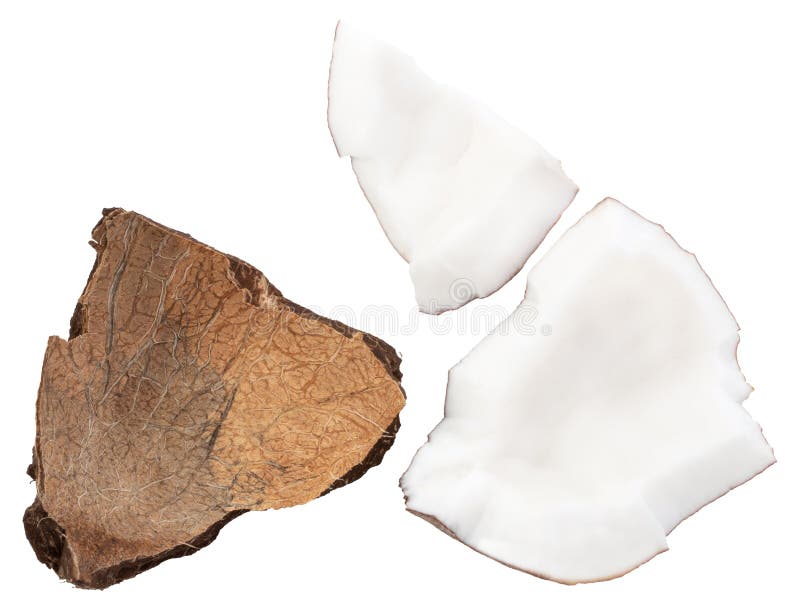 Partes Do Coco Isoladas No Fundo Branco Com Trajeto De Grampeamento ...