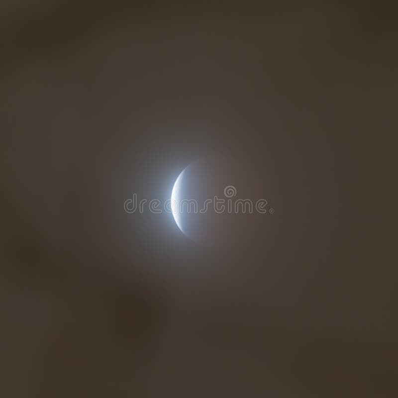 Crescentic Stock Illustrations – 31 Crescentic Stock Illustrations ...