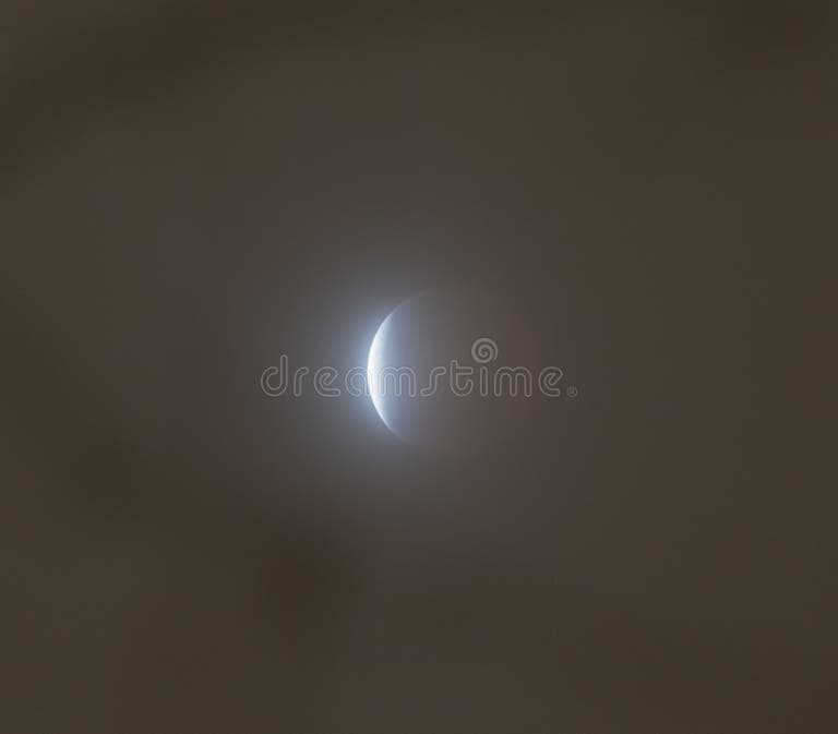 Crescentic Stock Illustrations – 31 Crescentic Stock Illustrations ...