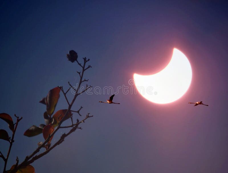 Partial Solar Eclipse, October 25, 2022 Stock Image - Image of ...