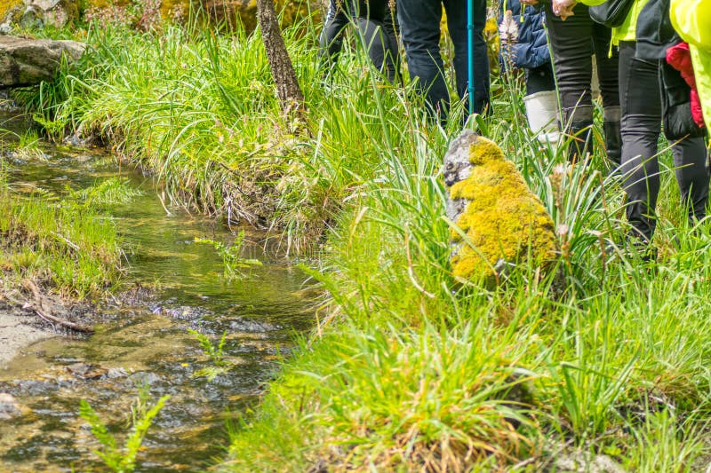 Partial View of the Legs of People Walking in the Field Next To a Creek ...