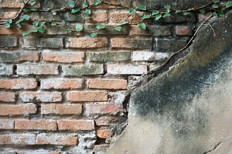 Partially Exposed Brickwork with Plaster and Creep Stock Photo - Image ...