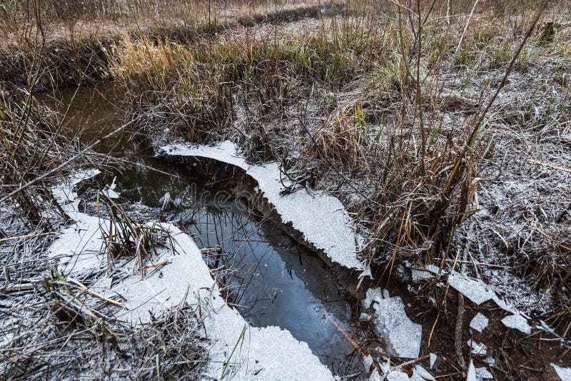 Partially Frozen Ditches on a Winter Day without Snow Stock Image ...