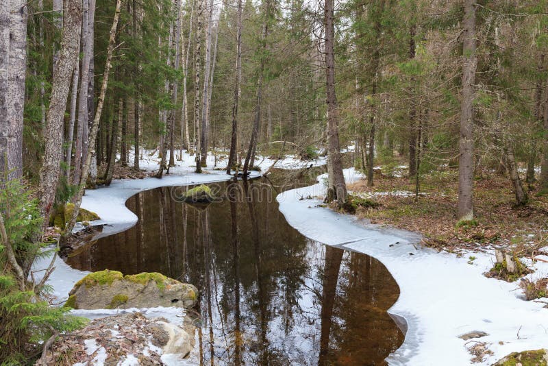 Partially Frozen Forest River Stock Photo - Image of quiet, finland ...