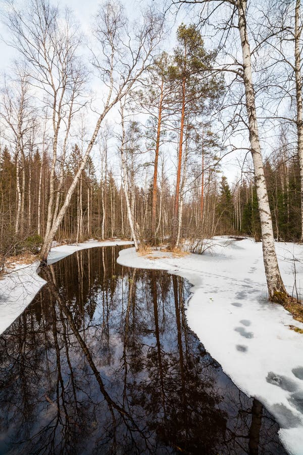Partially Frozen Forest River Stock Photo - Image of partially, partial ...