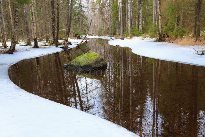 Partially Frozen Forest River Stock Photo - Image of spring, finland ...