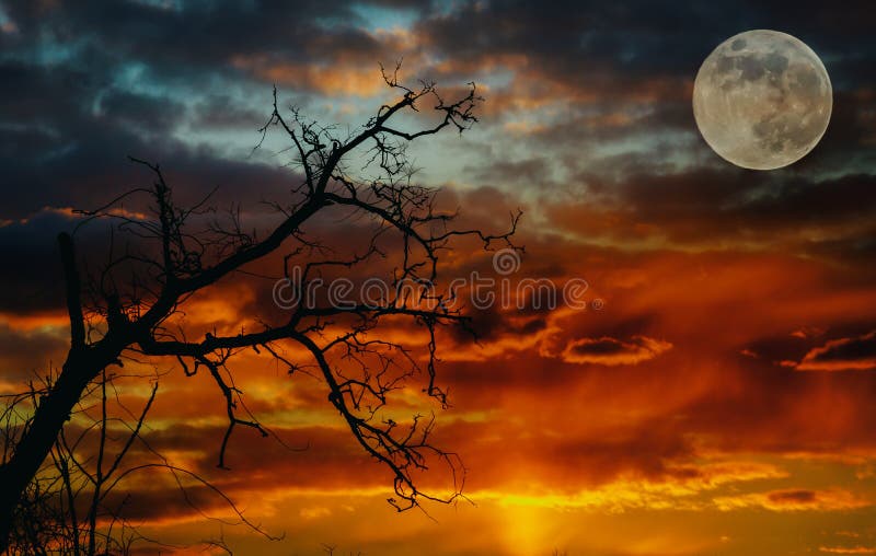 Red Sky during Sunset with a Big Moon in the Full Moon Phase and the ...