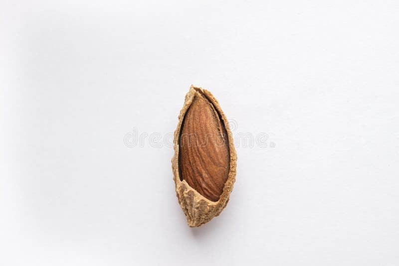 Partially Peeled Almonds on a White Background. the Nut is Half in the ...