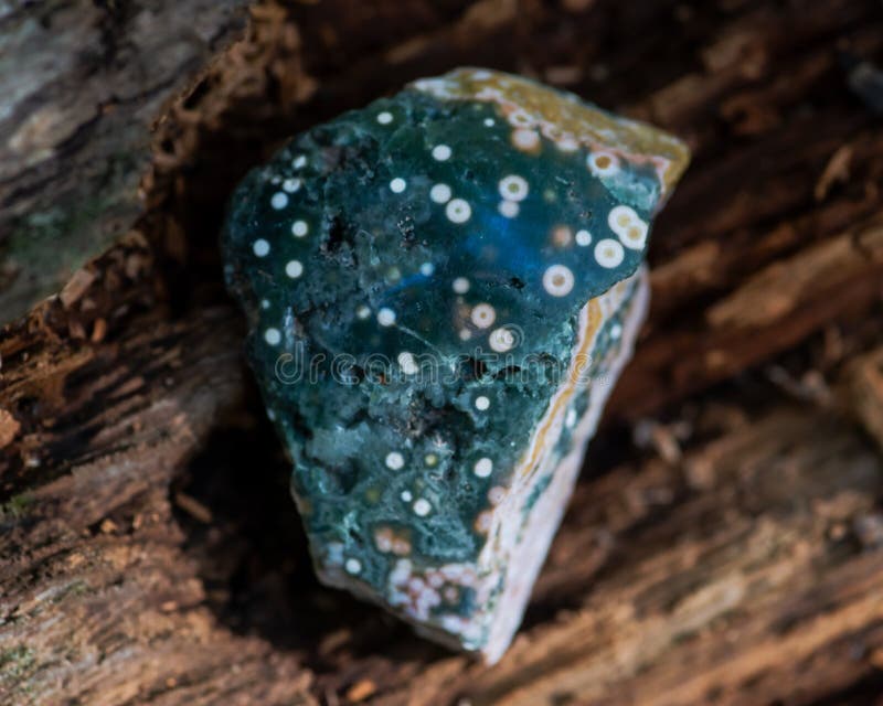 Partially Polished Orbicular Ocean Jasper Specimen from Madagascar on ...