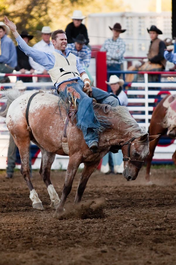 Rodeo Chute editorial stock photo. Image of frontier - 36318698