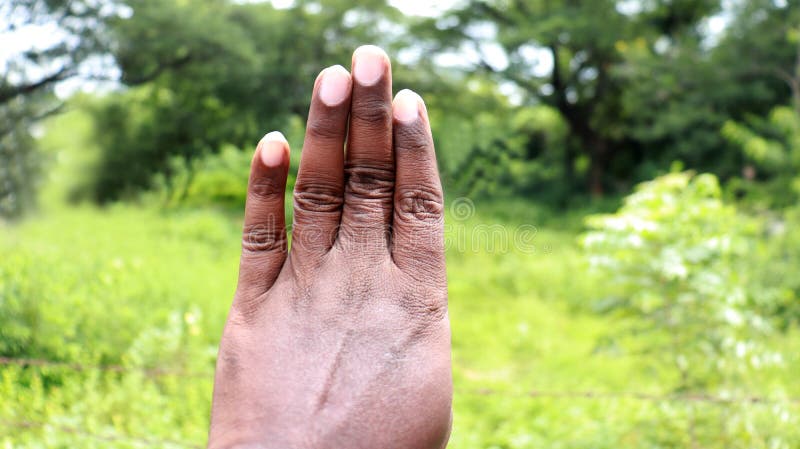 Particular Back View Four Finger and Hand See the Standing Back ...