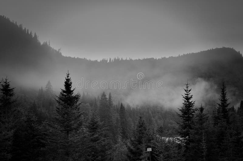 Feeling High stock image. Image of quebec, national - 120803801