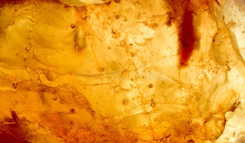 1,749 Photos de Colophane - Photos de stock gratuites et libres de ...