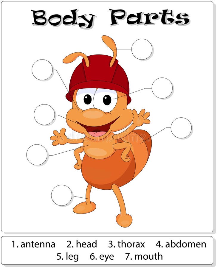 Parties du corps de fourmi illustration de vecteur. Illustration du ...