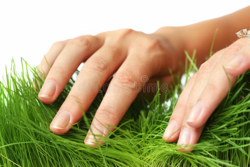 Two hands -parting stock photo. Image of love, family - 41676422