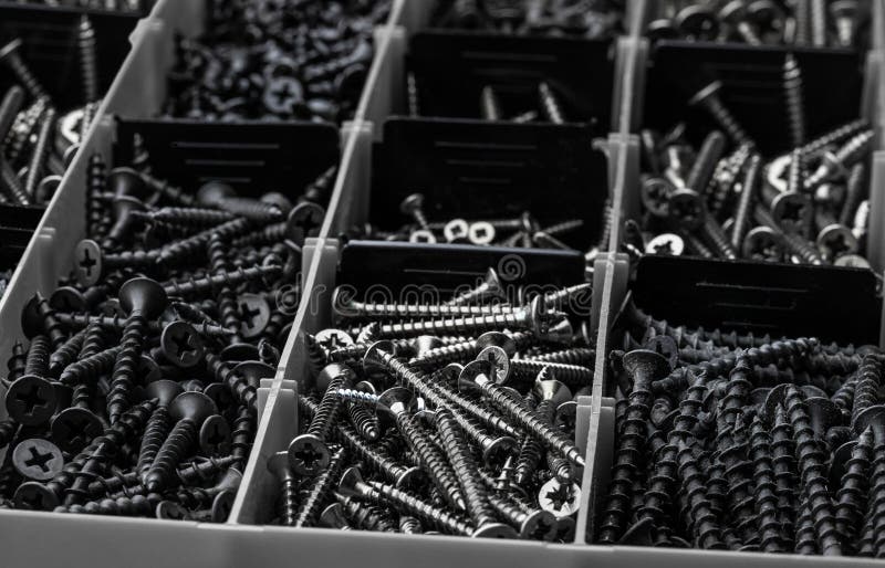 Partitioned Plastic Organizer Box Full of Various Screws Stock Image ...