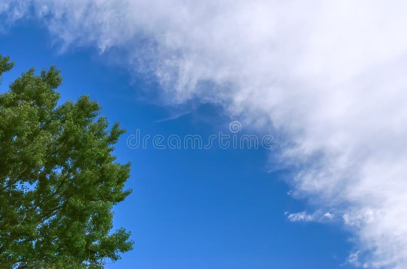 Partly Cloudy Skies Under Blue Sky in Summer Stock Image - Image of ...