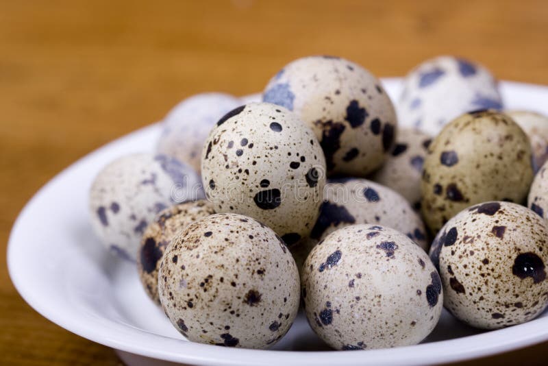 Partridge eggs stock image. Image of diet, gourmet, breakfast - 12078243