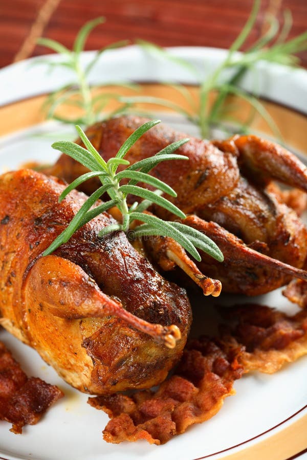 Partridge meat stock photo. Image of pigeon, game, isolated - 29194610