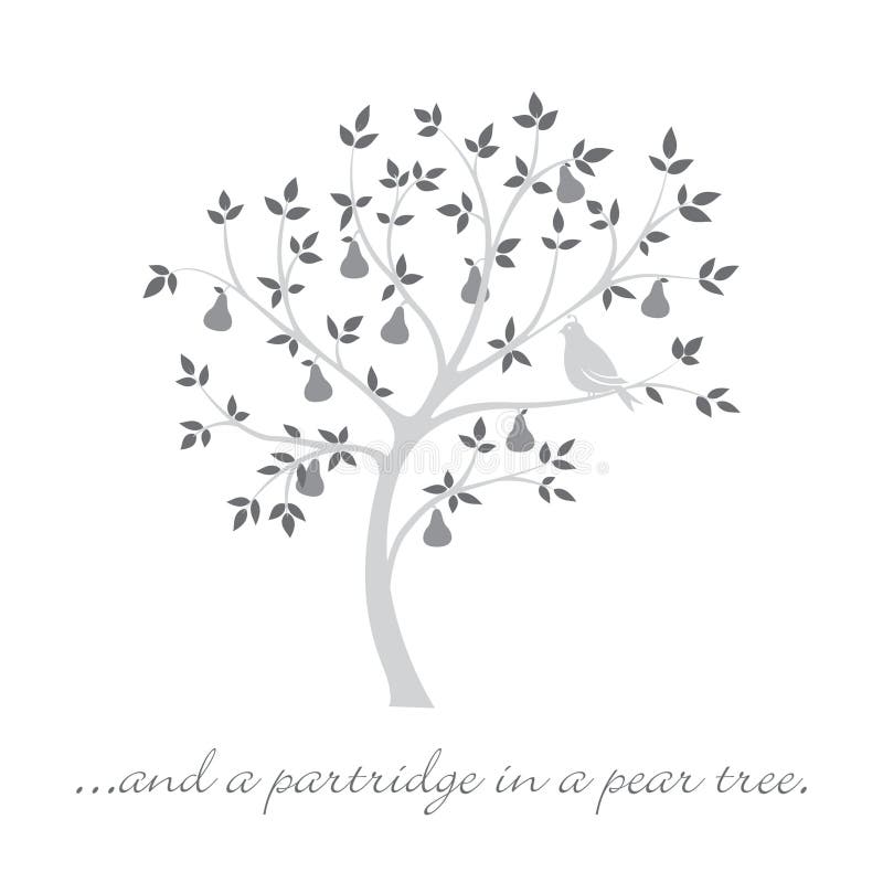 Partridge in a Pear Tree/eps Stock Vector - Illustration of icons ... Partridge in a Pear Tree/eps Stock Vector - Illustration of icons ...