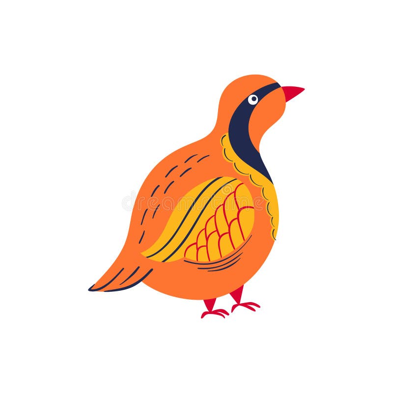 Partridge Vector Illustration. Hand-drawn Stylized Ground Bird Stock ...