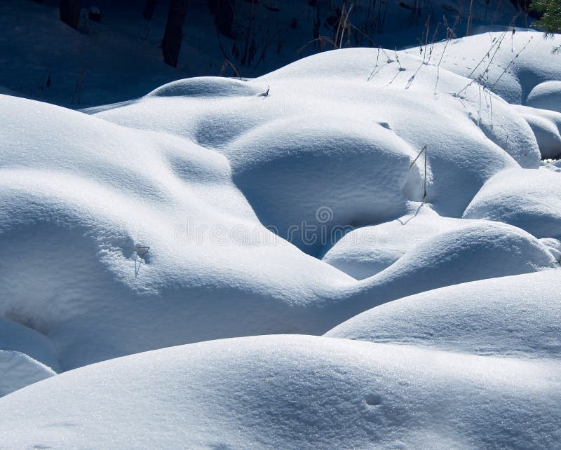 Parts of body stock image. Image of fine, water, shadow - 1748961