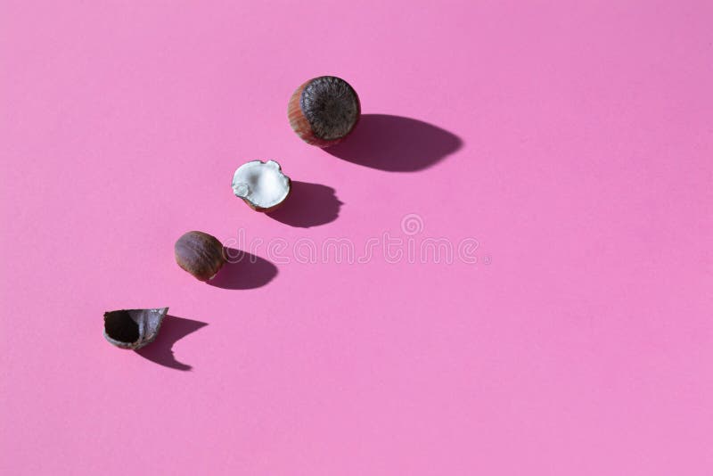 Parts of Hazelnut: Whole Nut, Peeled, Shell, a Piece of Peeled Nut on a ...