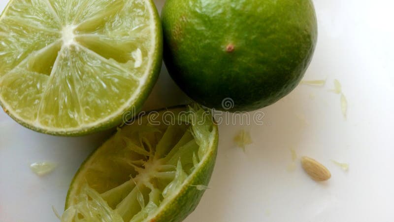 Lemon fruit parts stock photo. Image of white, ripe, plate - 15828616