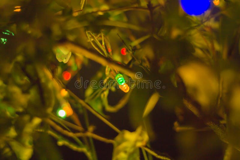 E Brach Stock Photos - Free & Royalty-Free Stock Photos from Dreamstime