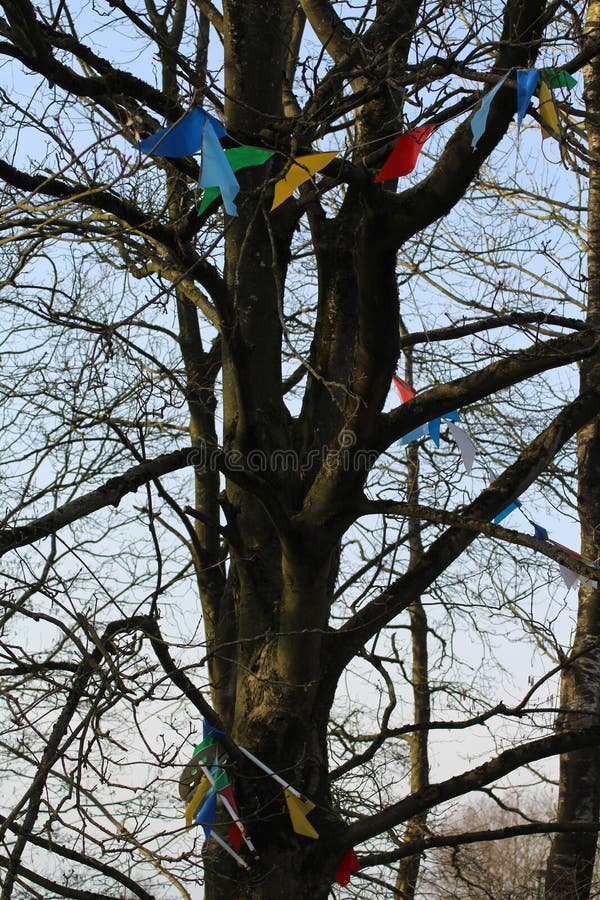 Party tree stock photo. Image of colored, nature, yellow - 68046814