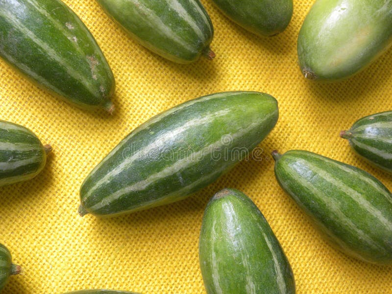 Parwal stock photo. Image of india, food, color, healthy - 190180906